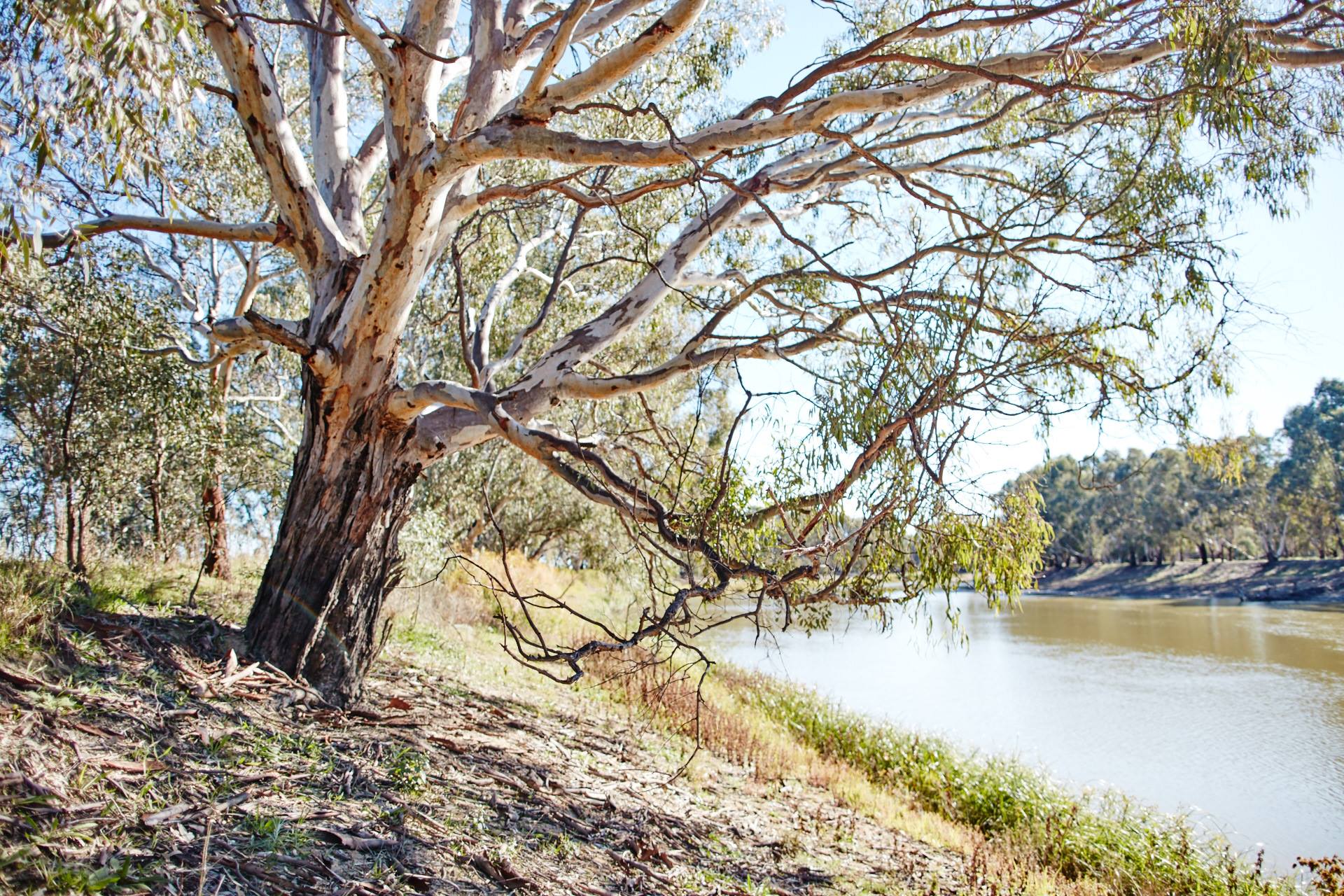 10 Reasons To Visit Swan Hill: Food, Wine and Sunshine - Onya Magazine