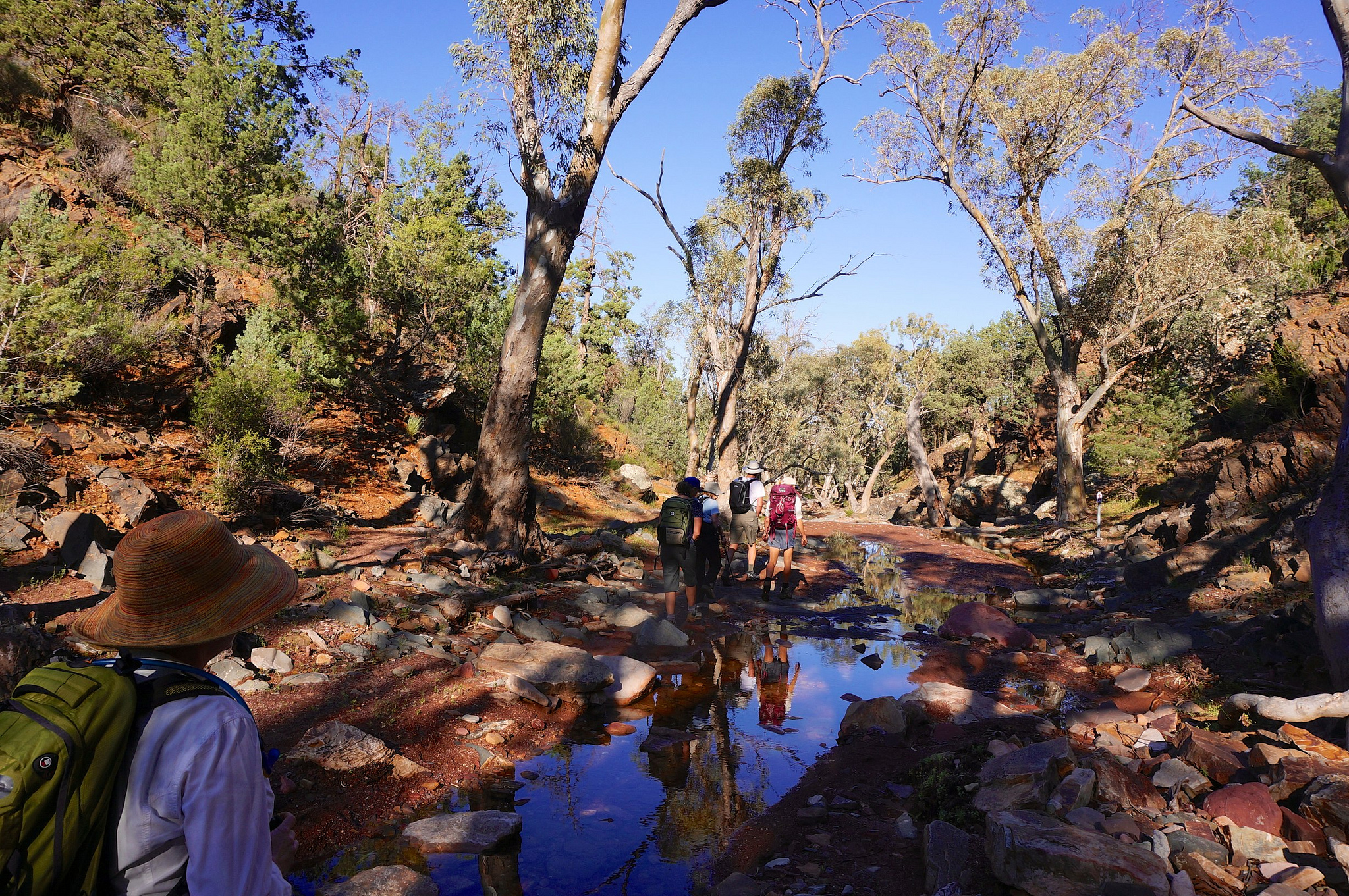 The Most Scenic Australian Trails You Have To See - Onya Magazine