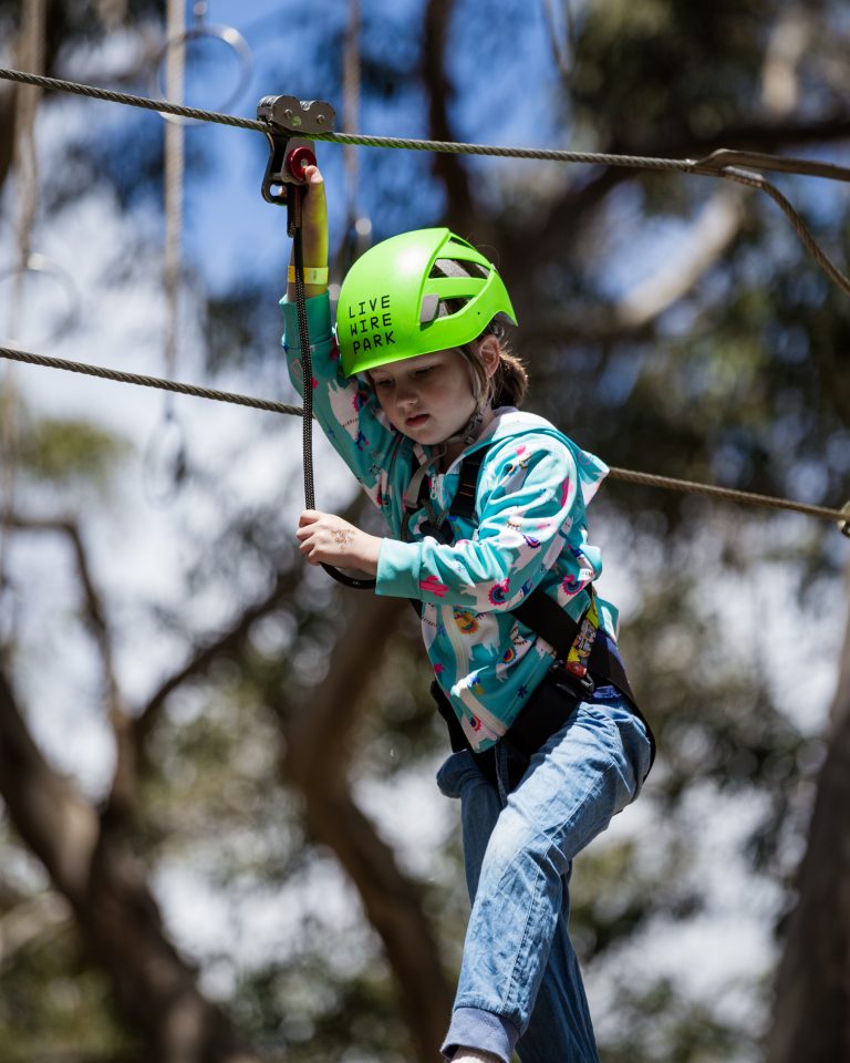 Experience Adrenaline-Fuelled Fun at Live Wire Park These Summer ...