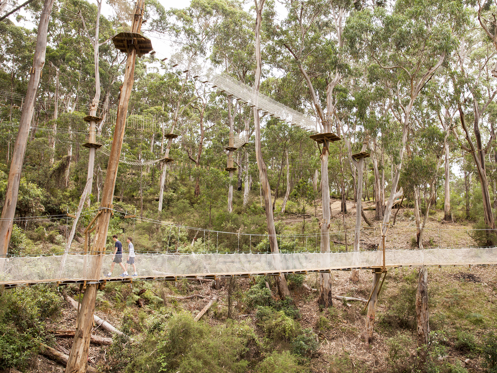 Experience Adrenaline-Fuelled Fun at Live Wire Park These Summer ...