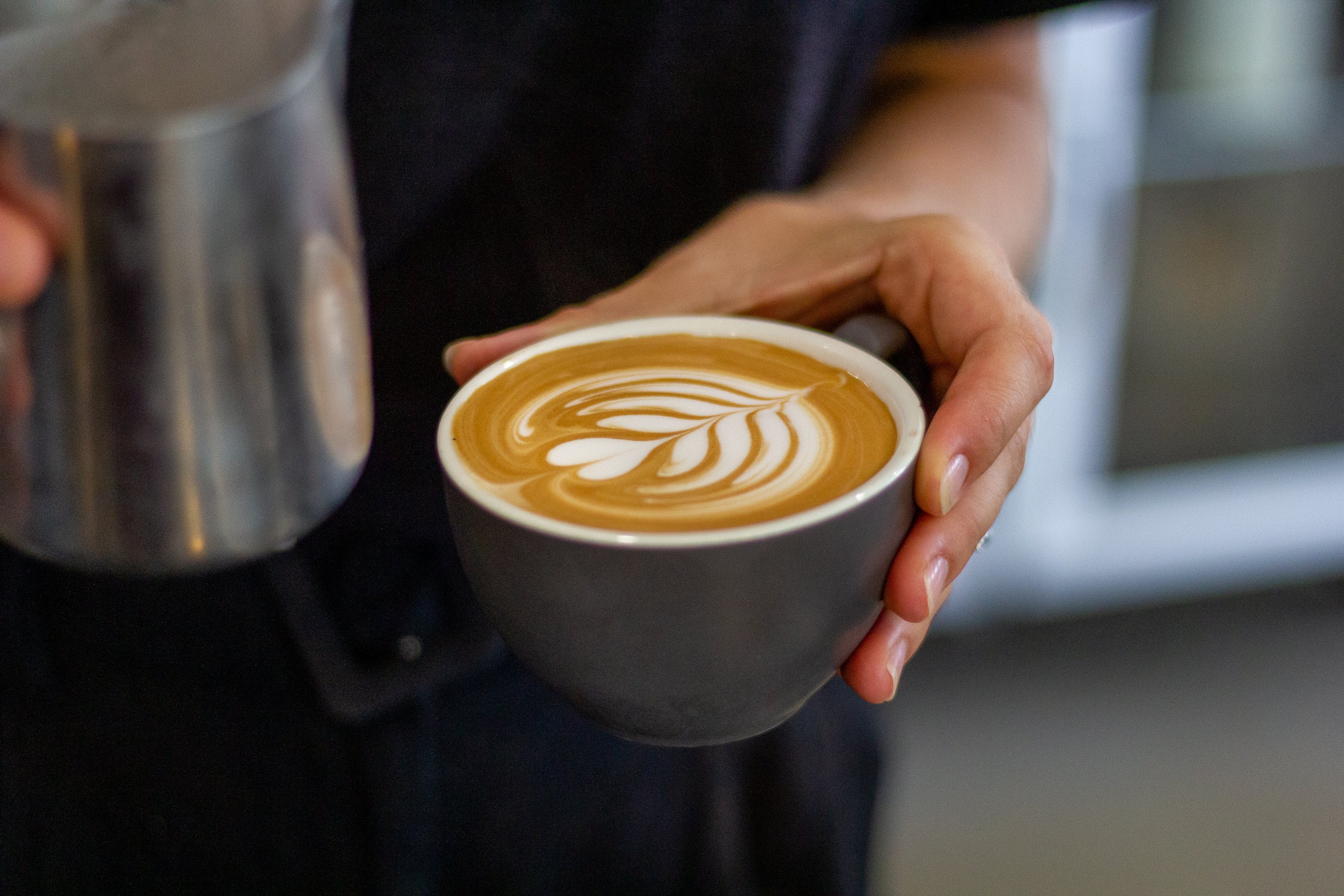 Common Coffee Myths Debunked With Seven Miles Dr. Of Coffee - Onya Magazine