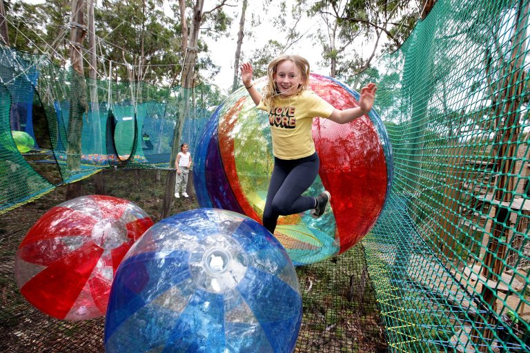 New Elevated Zone 'Spring Circuit' Opens At Lorne's Live Wire Park ...