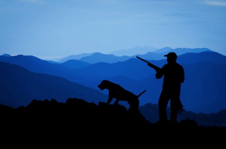 6 Important Tips For Hunting At Night - Onya Magazine