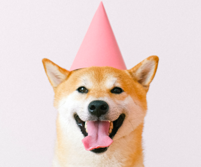 Birthday Party Ideas For All Ages And Interests - Onya Magazine