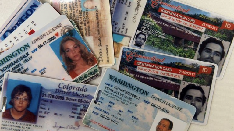 How To Spot A Fake Florida ID And Driver's License - Onya Magazine