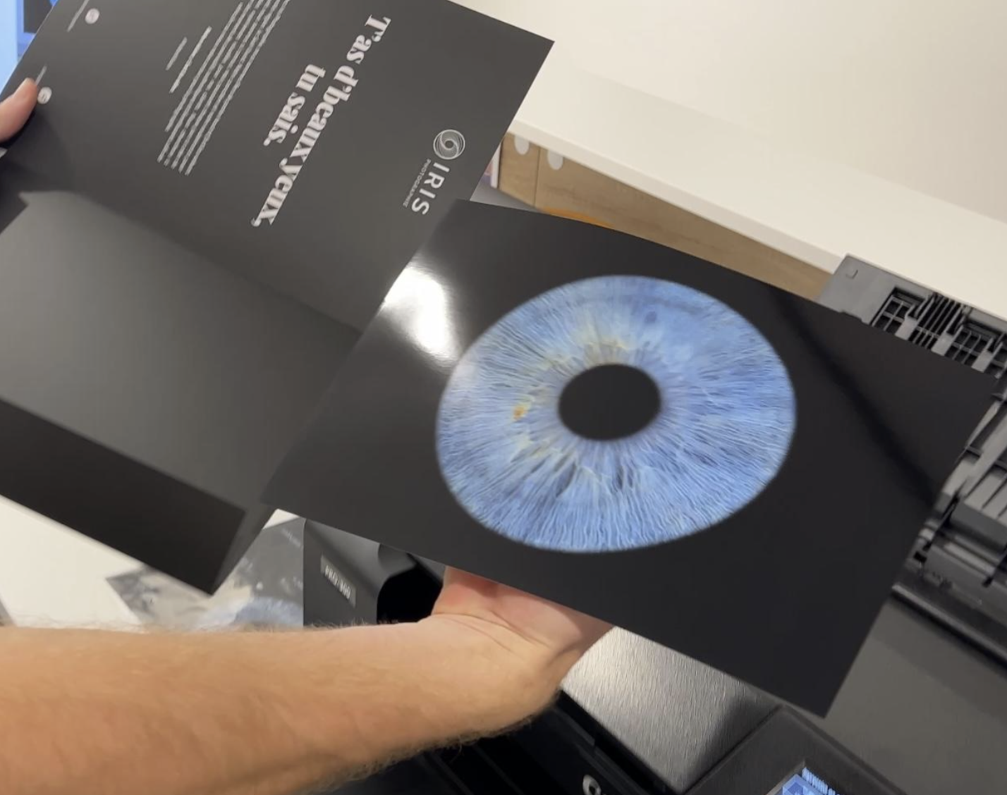 Exploring the Different Colors of Eye Iris Through Photography - Onya ...