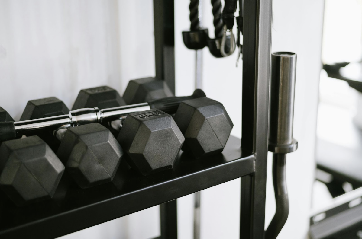 No More Messy Gyms: Why A Stand For Weights Is The Unsung Hero Of ...