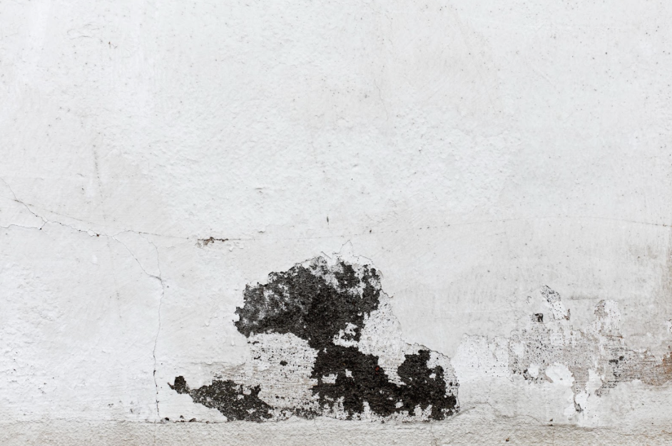 Early Warning Signs Of Salt Damp You Should Never Ignore - Onya Magazine